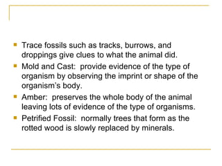 Fossil Formation Slide3 | PPT