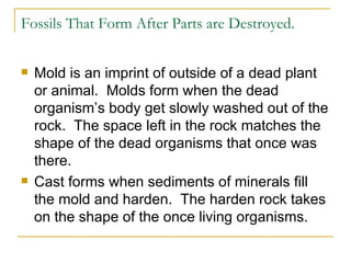 Fossil Formation Slide3 | PPT