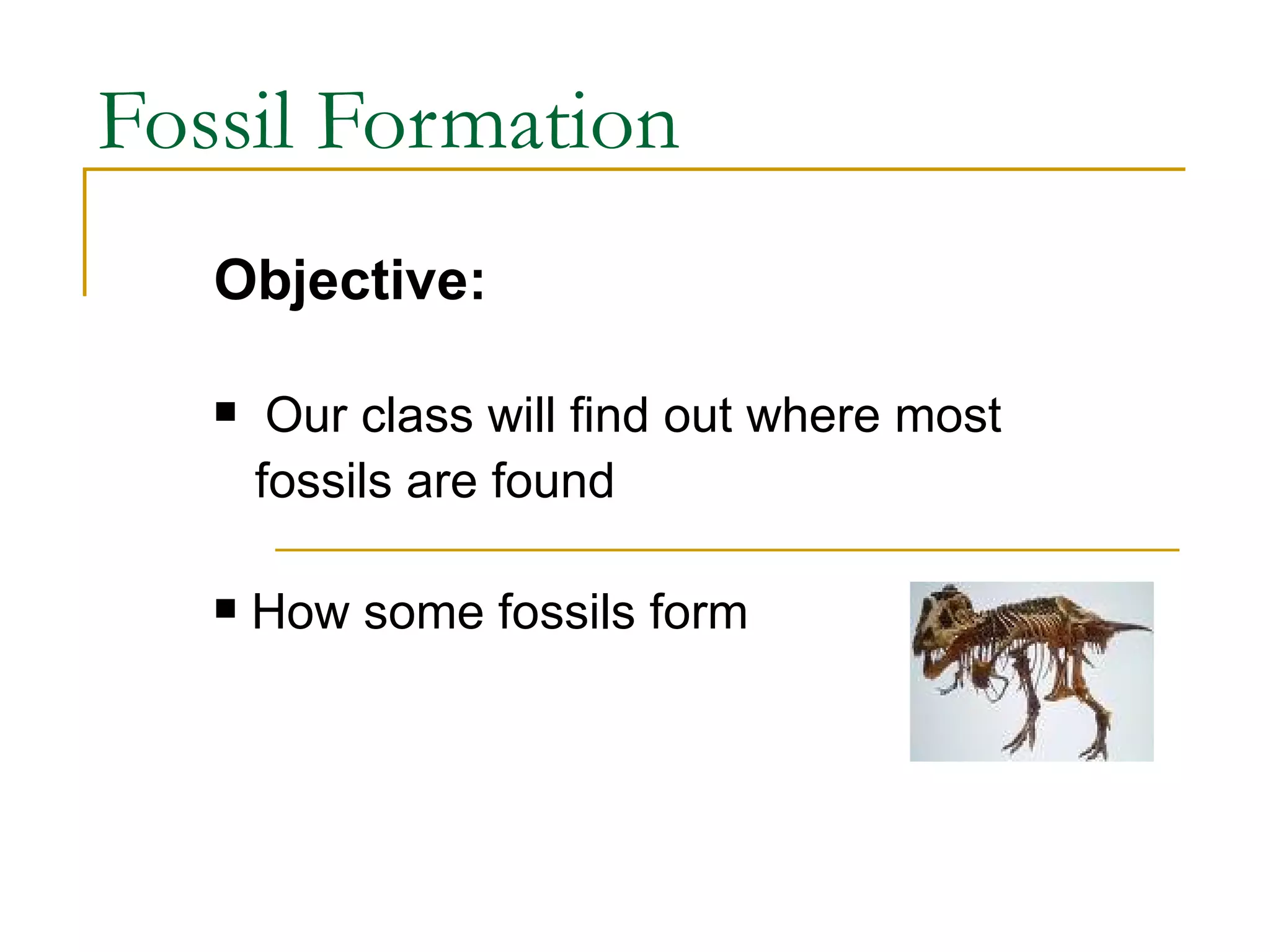 Fossil Formation Slide Edit | PPT