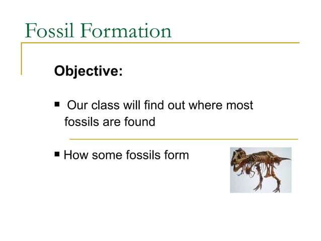 Fossil Formation Slide Edit | PPT