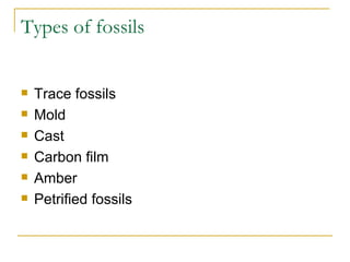 Fossil Formation Slide Edit | PPT