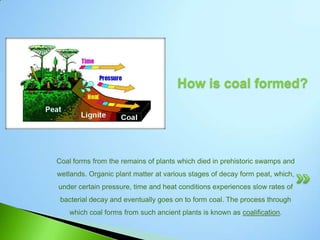 Fossil fuel | PPTX