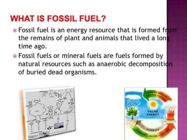 Fossil fuel | PPTX | Science