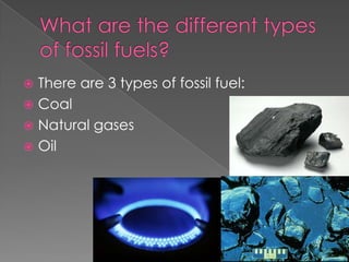 Fossil Fuels | PPTX | Geology | Science