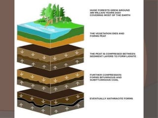 Fossil fuels Formation | PPTX