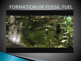 Fossil fuels - power point | PPTX