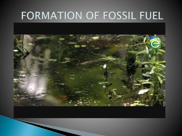 Fossil fuels - power point | PPTX