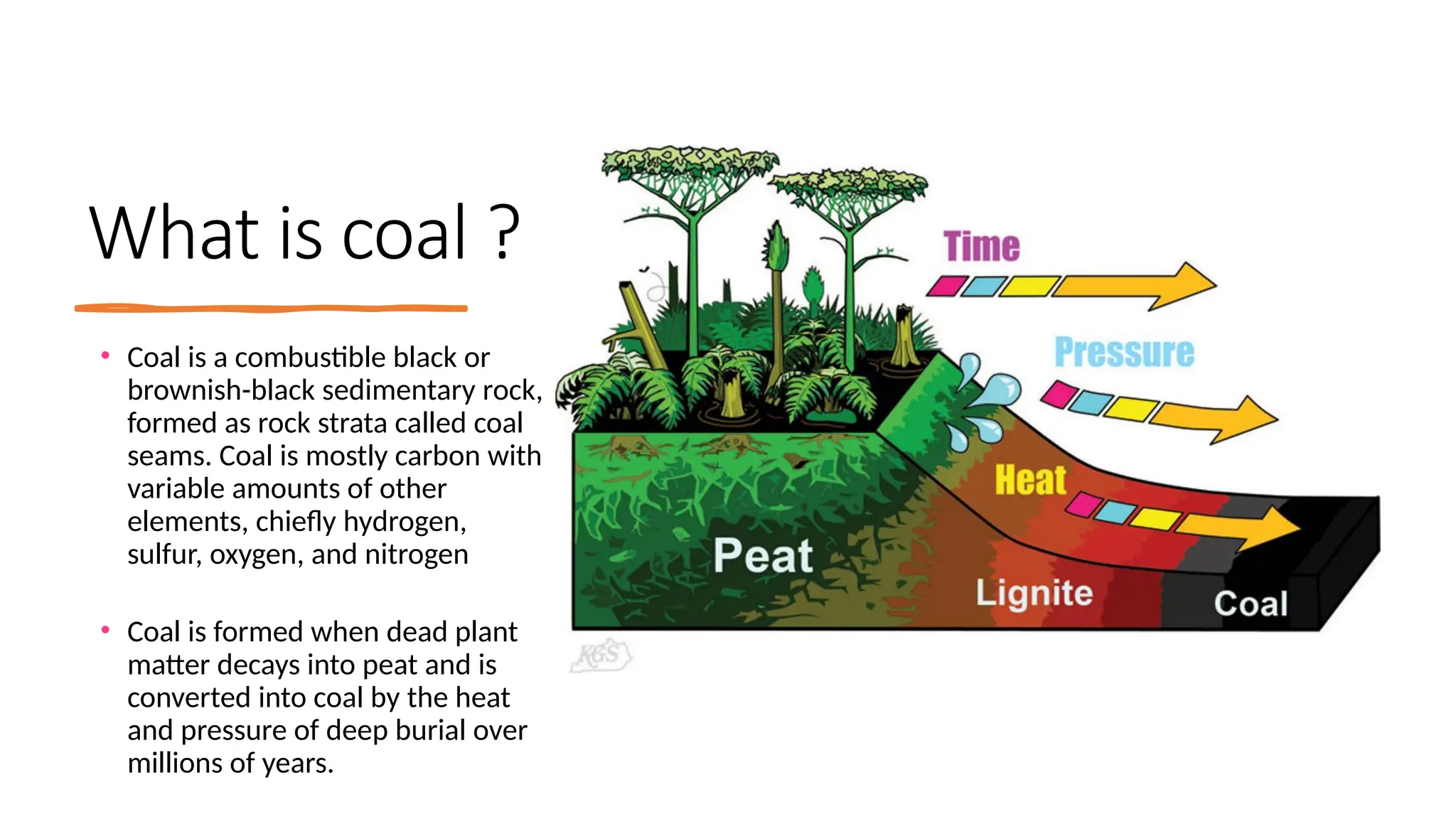 fossil fuels physics lower secondary .pptx