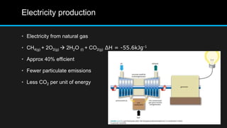 Fossil Fuels and Biofuels powerpoint slide deck | PPTX