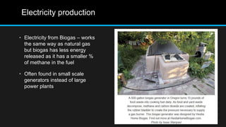 Fossil Fuels and Biofuels powerpoint slide deck | PPTX