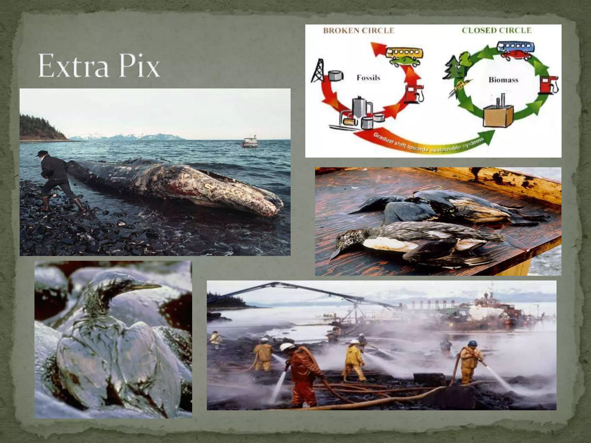 FOSSIL FUELS EARTH SCIENCE.pptx | Geology | Science