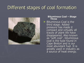 Fossil fuels ppw | PPT