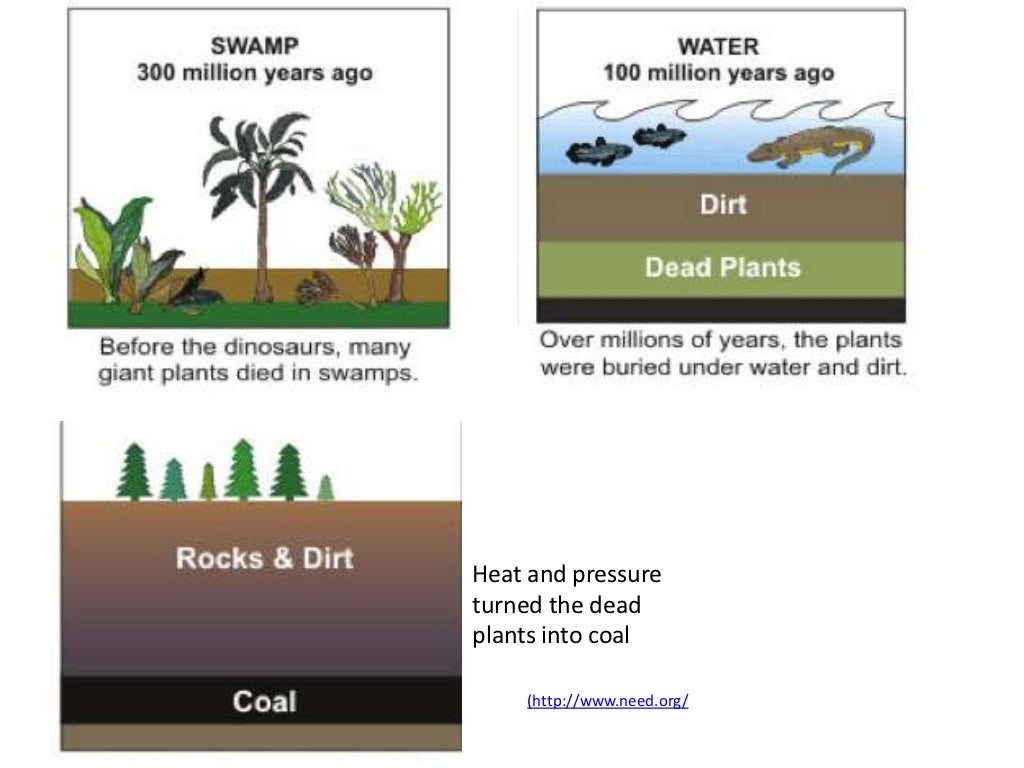 Fossil Fuels Types And Formation Video For Kids Youtube