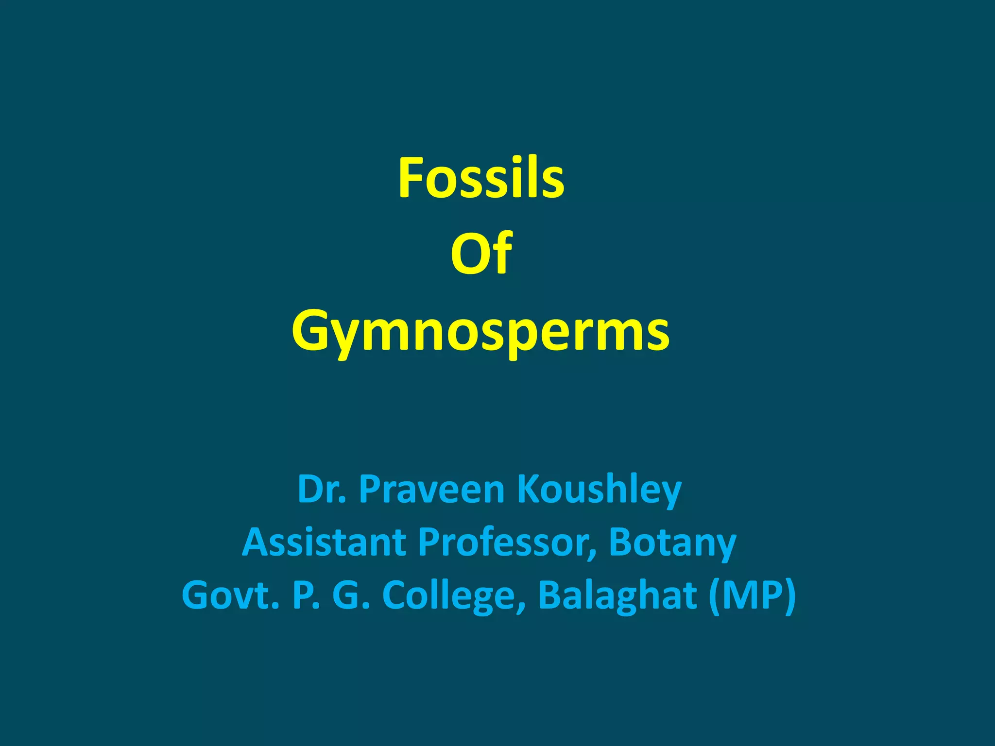 Fossil gymnosperms | PPTX