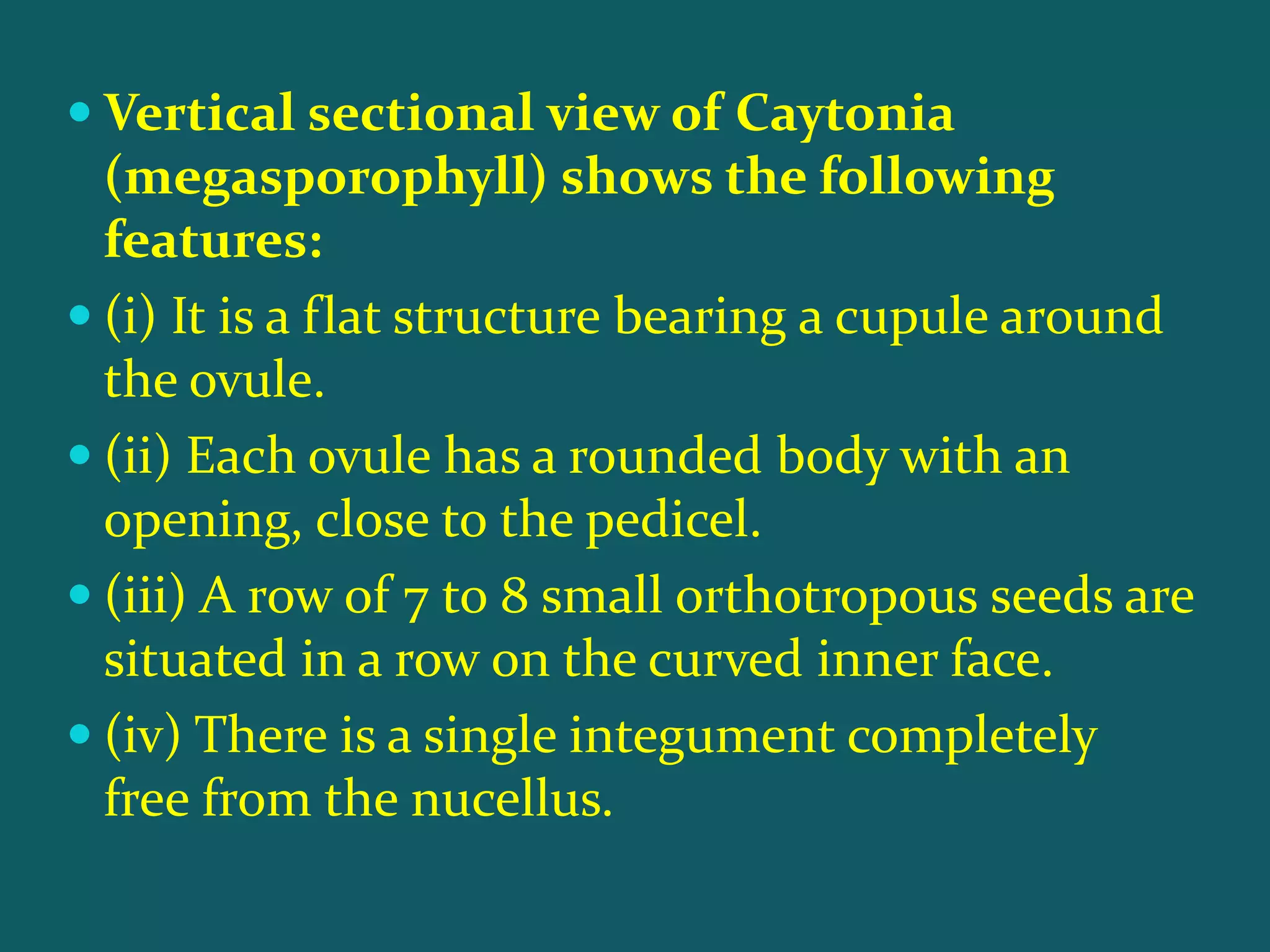 Fossil gymnosperms | PPTX