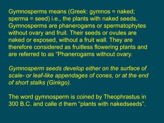 Fossil gymnosperms | PPTX