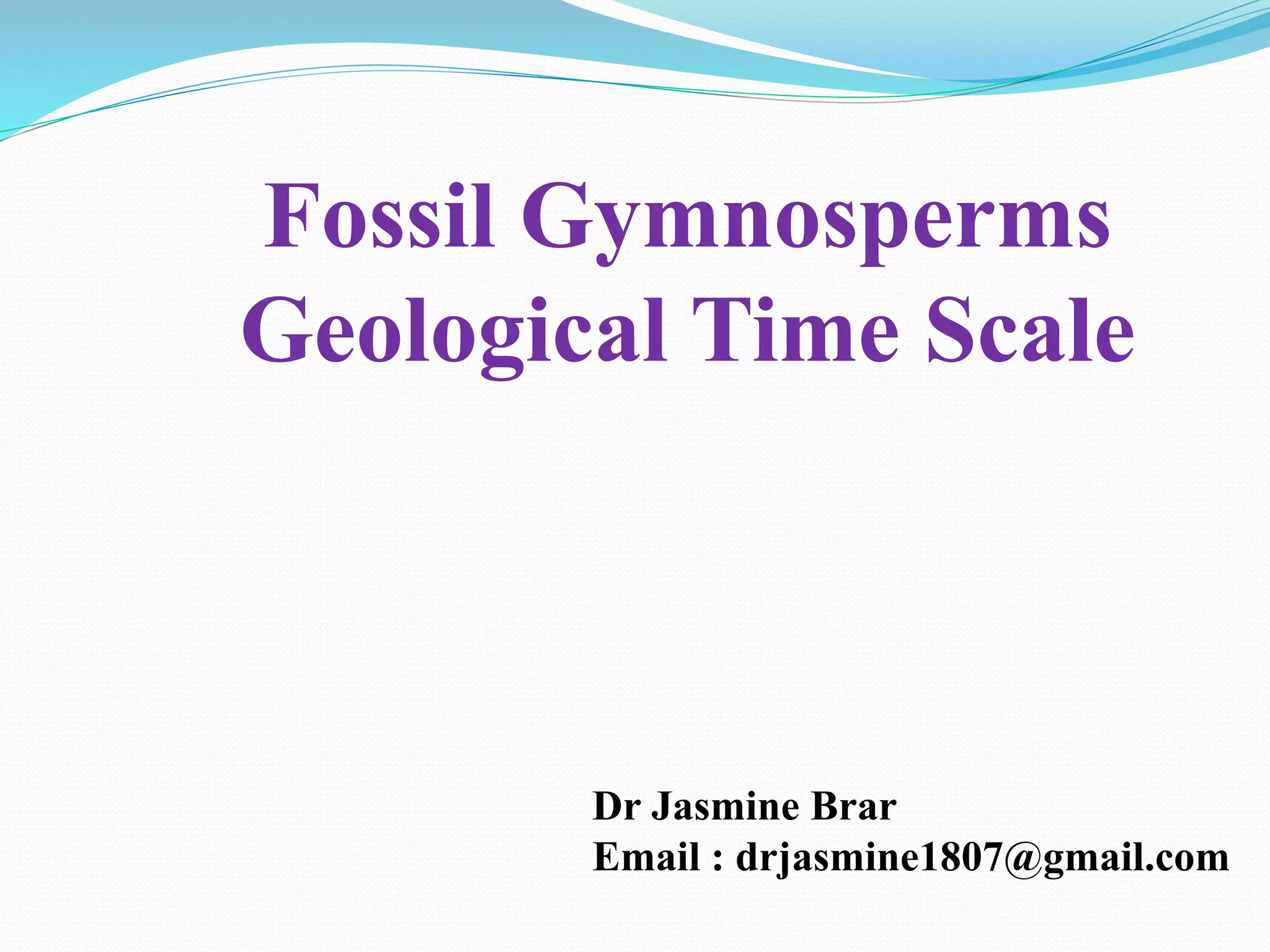 Fossil gymnosperms and Geological Time Scale | PPTX