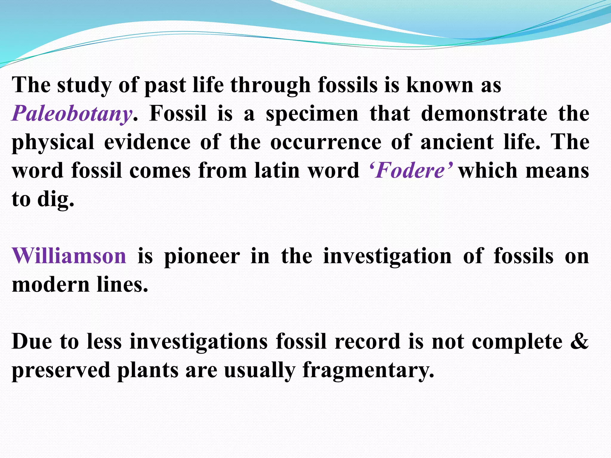 Fossil gymnosperms and Geological Time Scale | PPTX