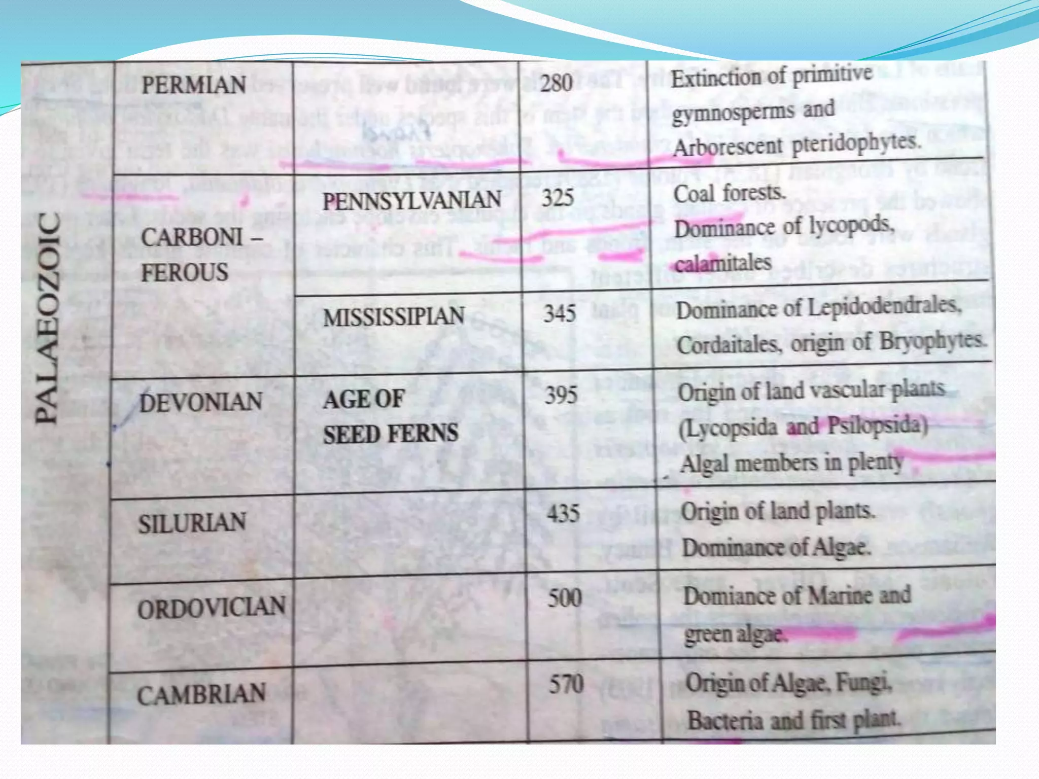 Fossil gymnosperms and Geological Time Scale | PPTX