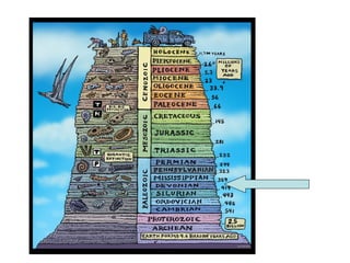 A Tour of Devonian Fossils | PPT