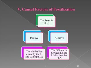 Fossilization | PPTX