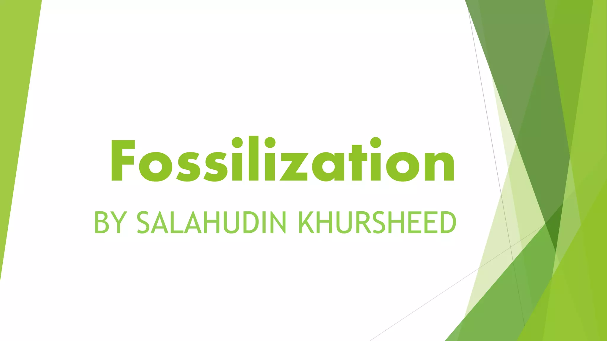 Fossilization Ppt