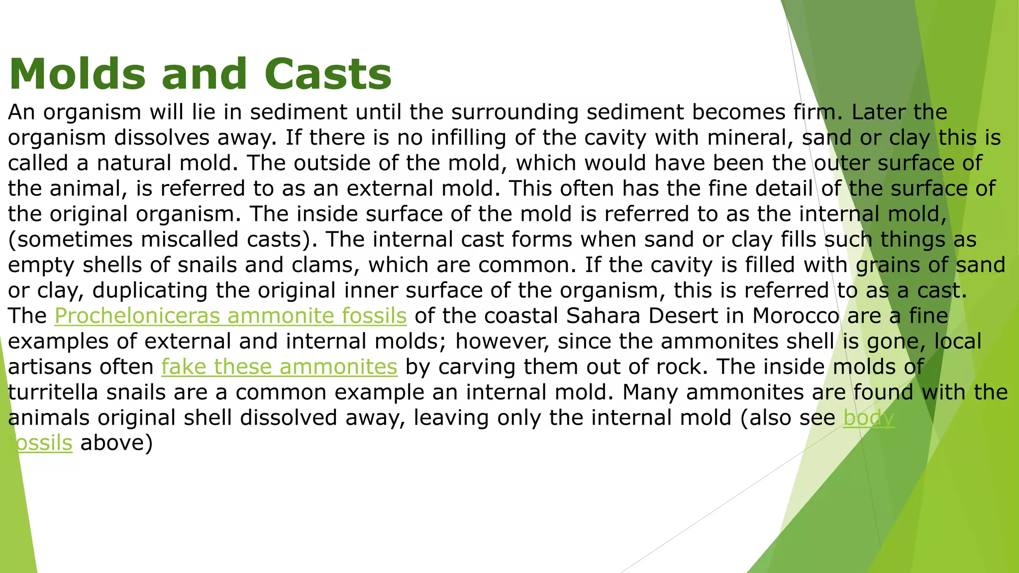 Fossilization | PPTX