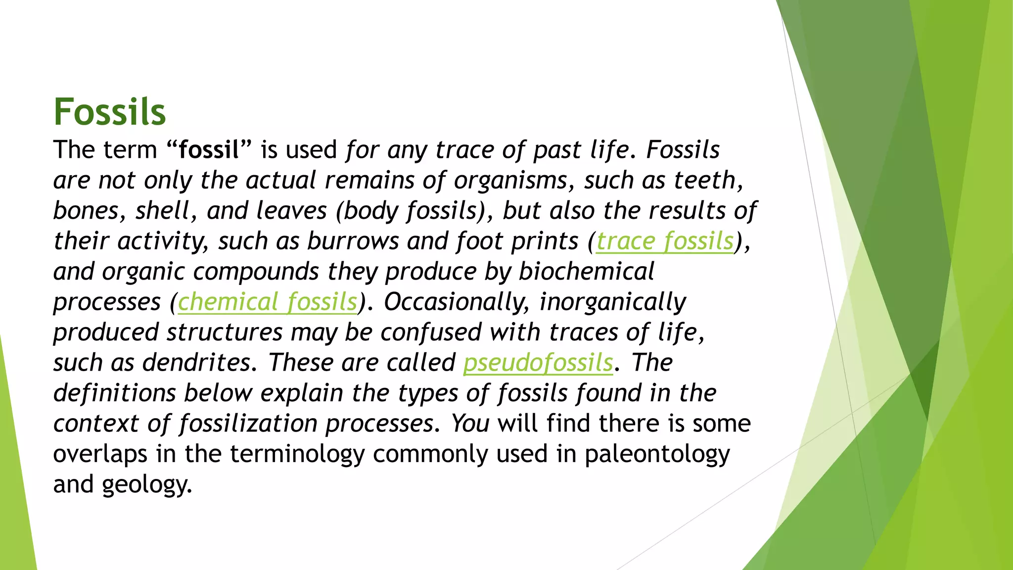 Fossilization | PPTX | Geology | Science