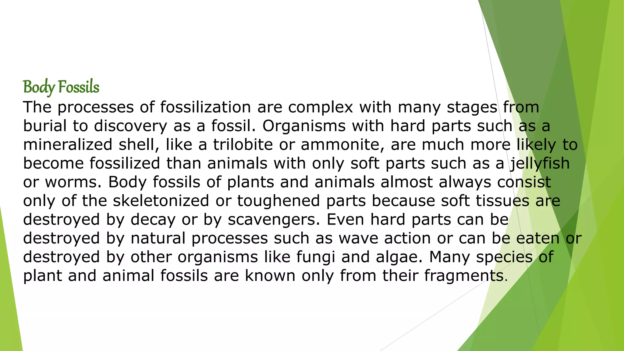 Fossilization | PPTX