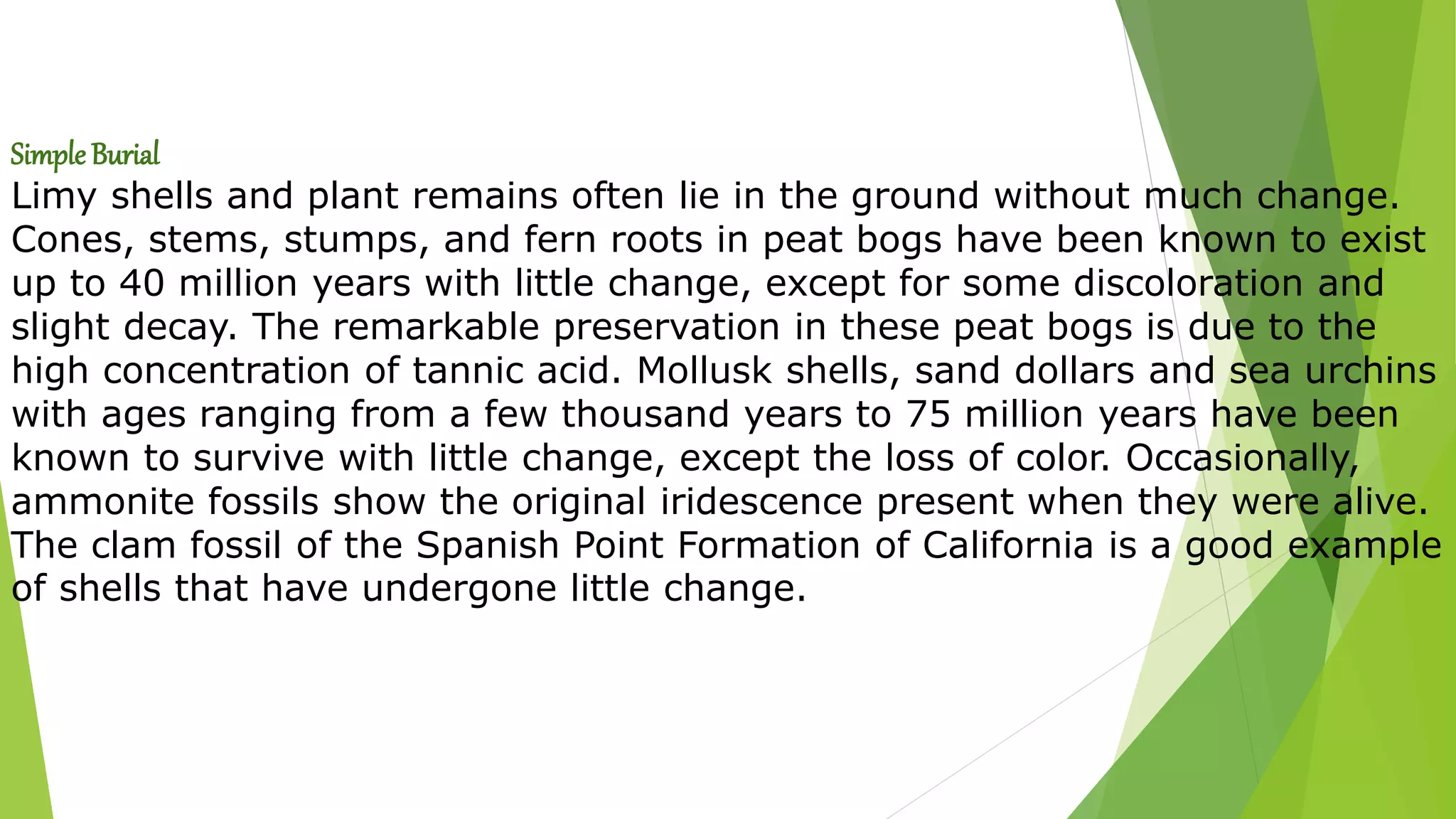 Fossilization | PPTX