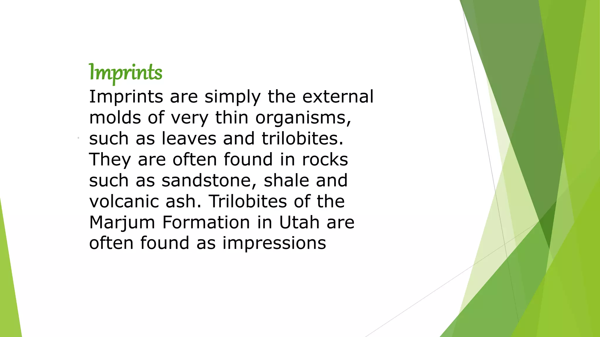 Fossilization | PPTX