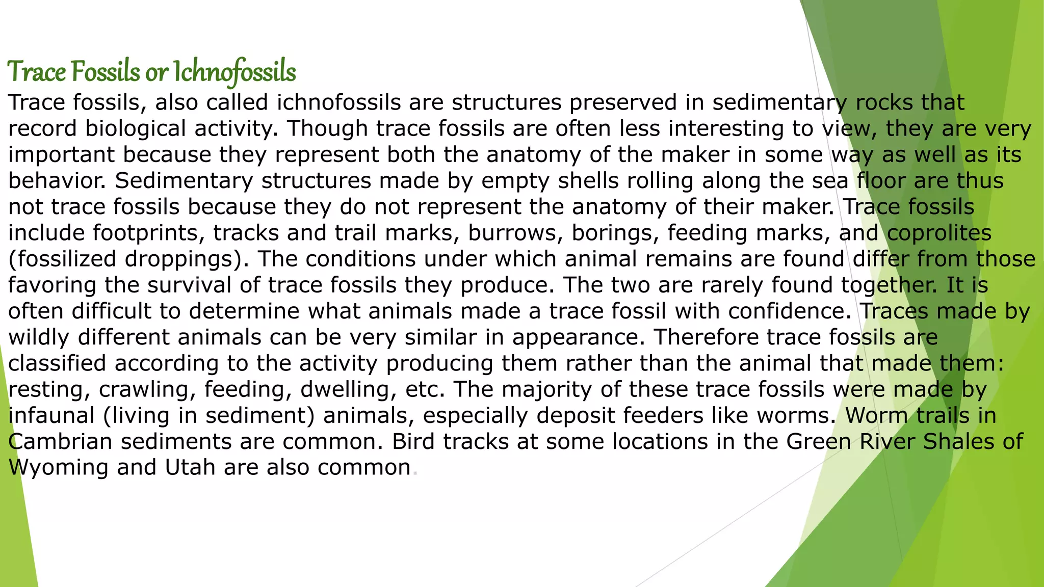 Fossilization | PPTX