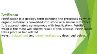 Fossilization | PPTX