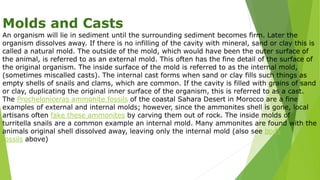 Fossilization | PPTX