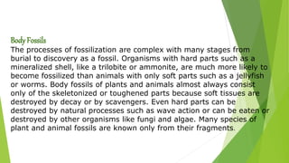 Fossilization | PPTX