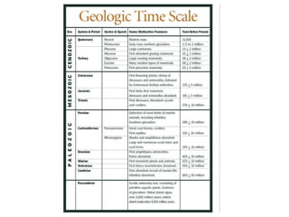 Fossilization | PPTX