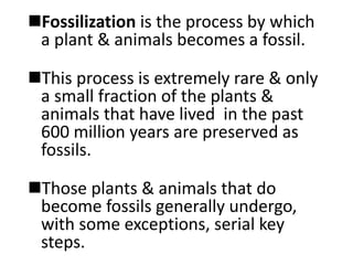 Fossilization | PPTX