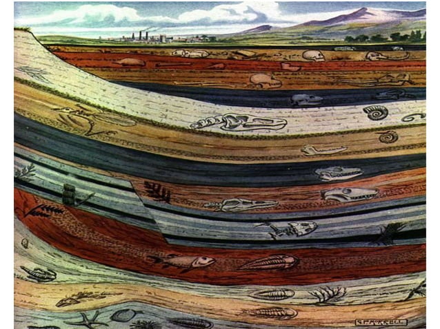 Fossilization | PPTX | Geology | Science