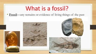 Fossil notes 6th | PPTX | Geology | Science