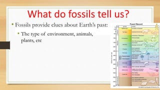 Fossil notes 6th | PPTX | Geology | Science