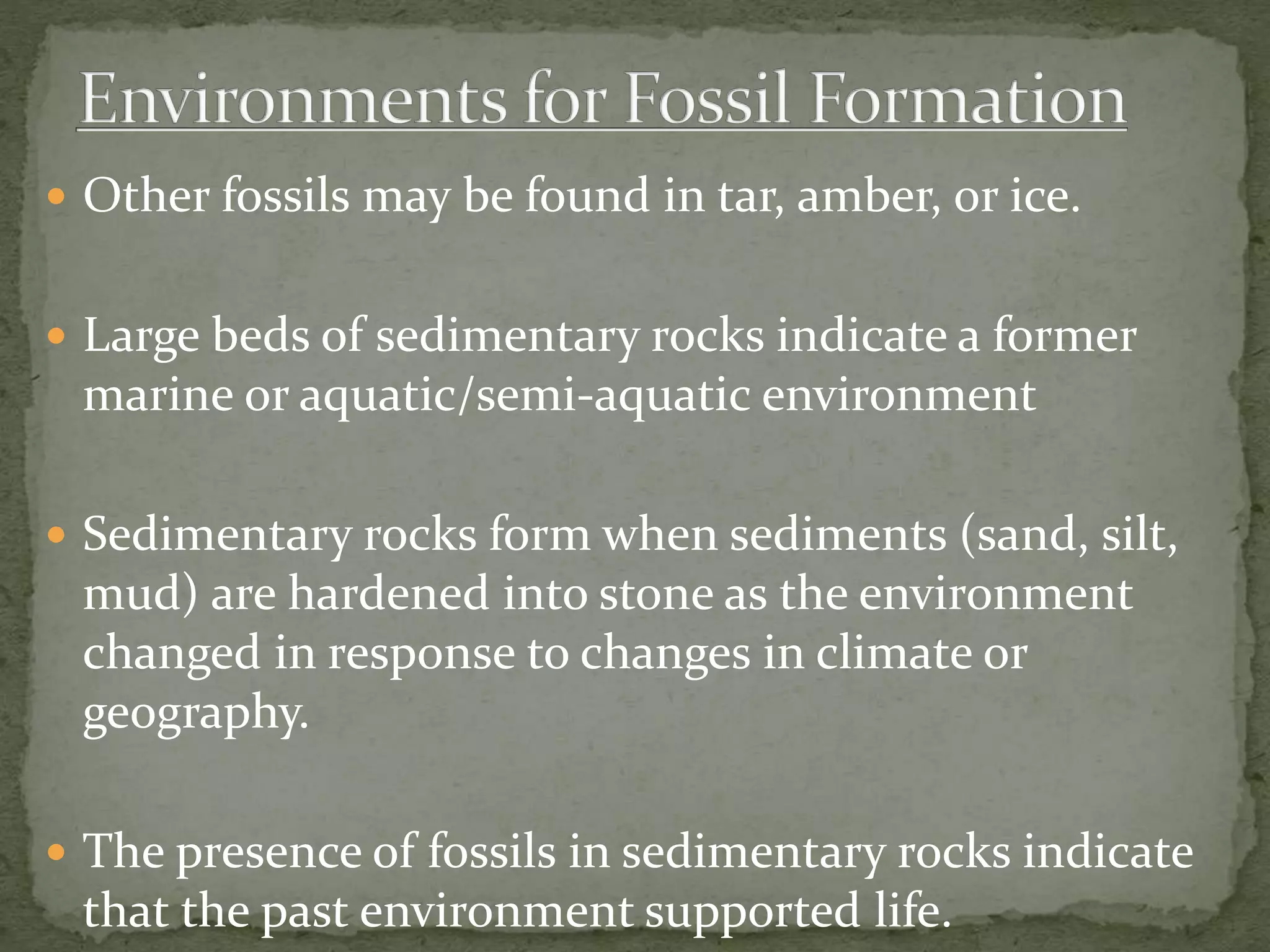 Fossil_Notes_UPDATEDa.pptx