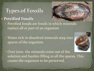 Fossil_Notes_UPDATEDa.pptx