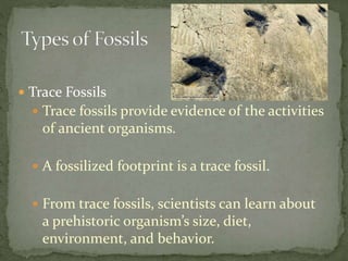Fossil_Notes_UPDATEDa.pptx
