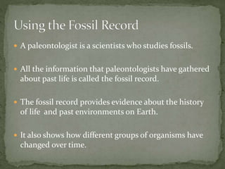 Fossil_Notes_UPDATEDa.pptx