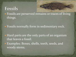 Fossil_Notes_UPDATEDa.pptx