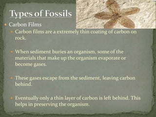 Carbon Films Fossils