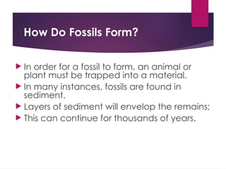 Fossil POP Cycleeeeeeeeeeeeeeeeeeeeeeeeeeee | PPT