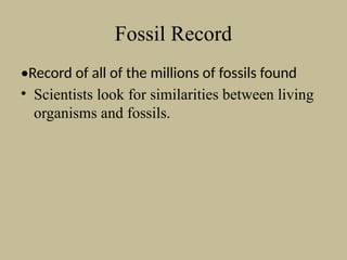 Fossil_PowerPoint_for_website rocks.pptx
