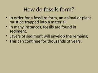 Fossil_PowerPoint_for_website rocks.pptx
