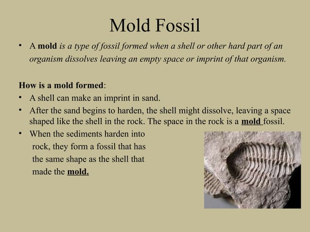 Fossil_PowerPoint_for_website rocks.pptx